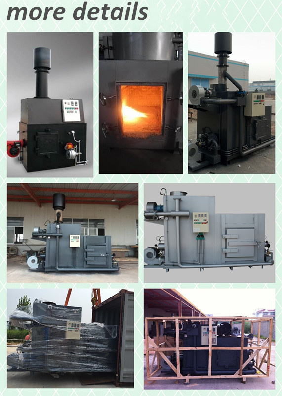 Small Size Hopital Use Medical Waste Incinerator, Dual Chambers Solid ...